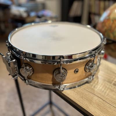 DW Maple Snare Drum - 5.5x14 | Reverb