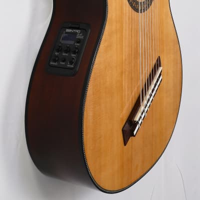 Agile 9 String MultiScale Fan Fret Acoustic Classical Guitar | Reverb