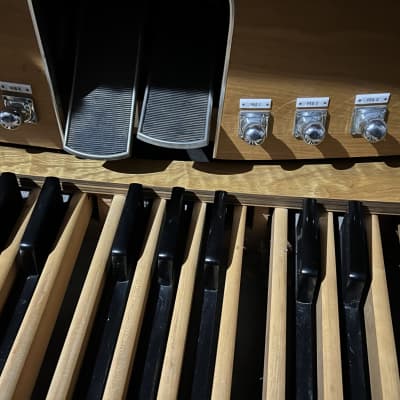 Rogers Alexandria Organ w/ 32-Note Negative Concave | Reverb