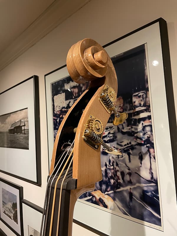 Strunal Upright Bass 3/4 2019 - Custom Striped Wood | Reverb