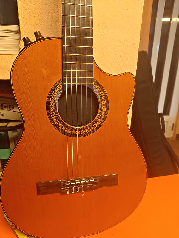 Camps nylon string solid body, Chet Atkins type | Reverb Deutschland