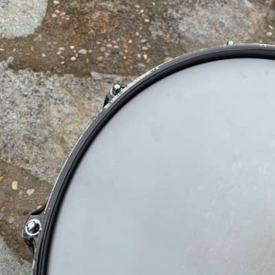 RARE DW Collectors Neil Peart Snakes and Arrows - Birds Eye | Reverb