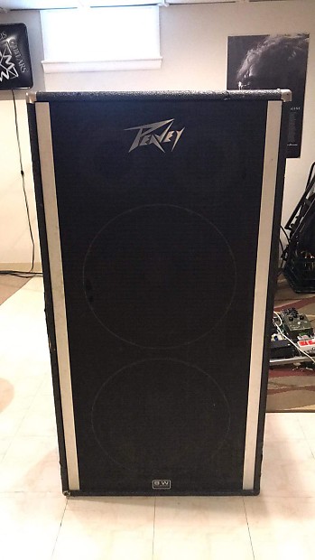 Peavey 3620 bass cab | Reverb