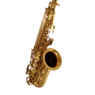 The Growling Sax TGS Avant-Garde Series Alto Saxophone | Reverb