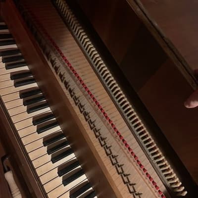 Zuckermann "Z-Box" Harpsichord 1960s - Natural | Reverb