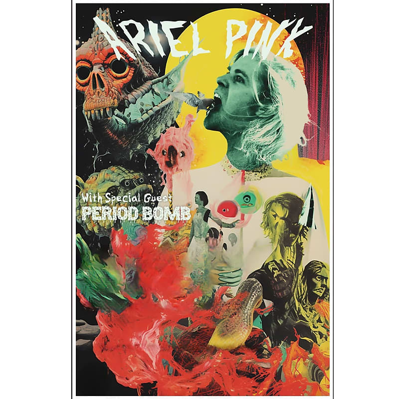 ARIEL PINK Winter Tour 2024 Ltd Ed RARE New Poster! Lo-Fi | Reverb