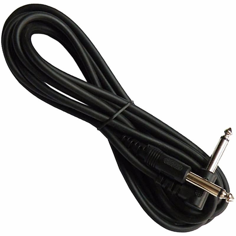 Perfektion 10' ft Straight to Right Angle Instrument Cable, | Reverb
