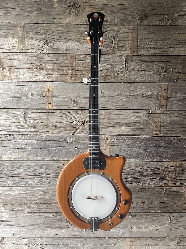 Custom Made Electric Banjo | Reverb