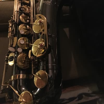 Mendini by Cecilio Tenor Saxaphone Black nickel with gold | Reverb