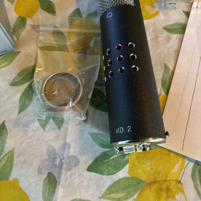 Groove Tube Model 2 Tube Condenser Microphone | Reverb