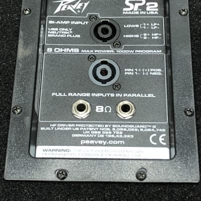 Peavey Sp2 Two-way Speaker System w/15" Black Widow BWX SF | Reverb