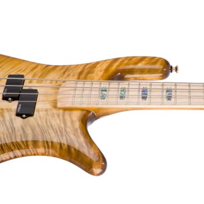 Spector USA Custom NS-2 Bass Guitar - Cinnamon Glow - | Reverb