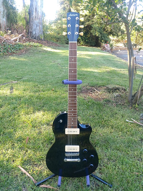 Larrivee RS2 2008-2010 - Original Hard Case-Offers! | Reverb