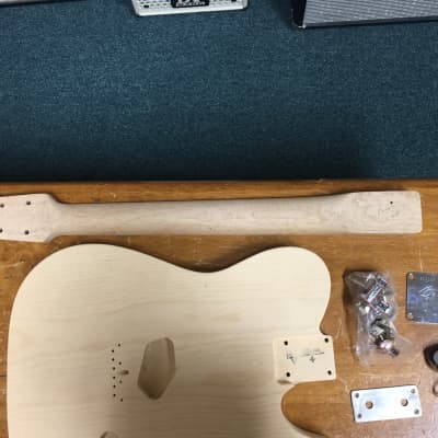Fender Snakehead 49 Fender Telecaster Prototype Seymour | Reverb