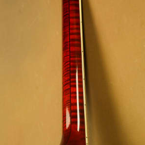 Gibson Doves in Flight 12 String Rare Custom Acoustic Guitar | Reverb