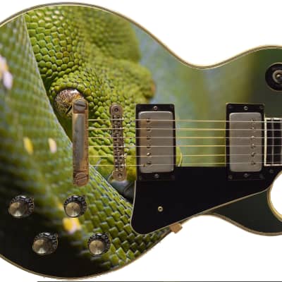 Sticka Steves Guitar Skin Axe Wrap Re-skin Green Tree | Reverb Canada