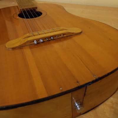 Dual Electric Pickup USSR Soviet Acoustic Guitar Timbre Block | Reverb