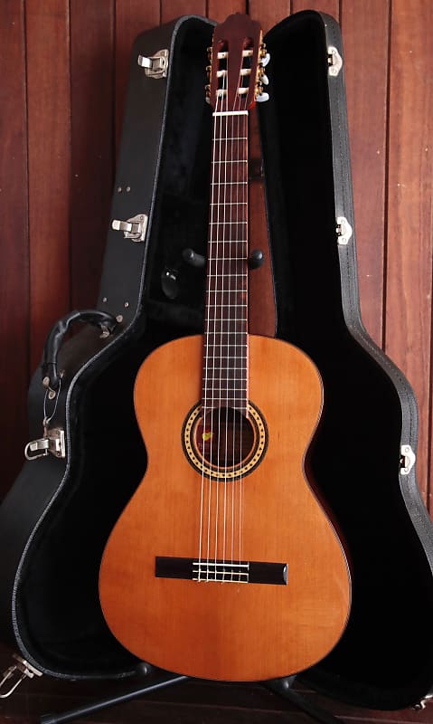 Esteve 6PS Classical Guitar with Case Pre-Owned | Reverb