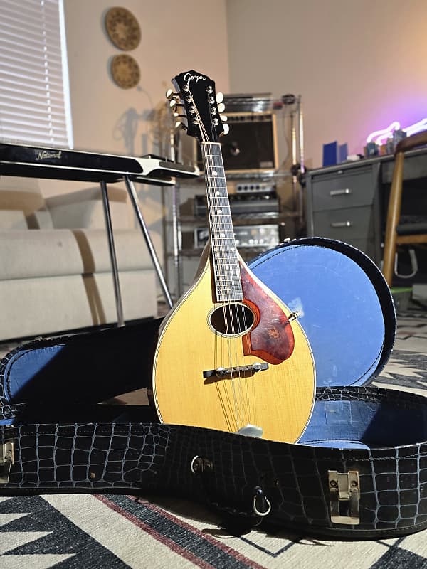 Made In Sweden 1964-1966 Goya MA-8 Mandolin Ebony Fingerboard | Reverb