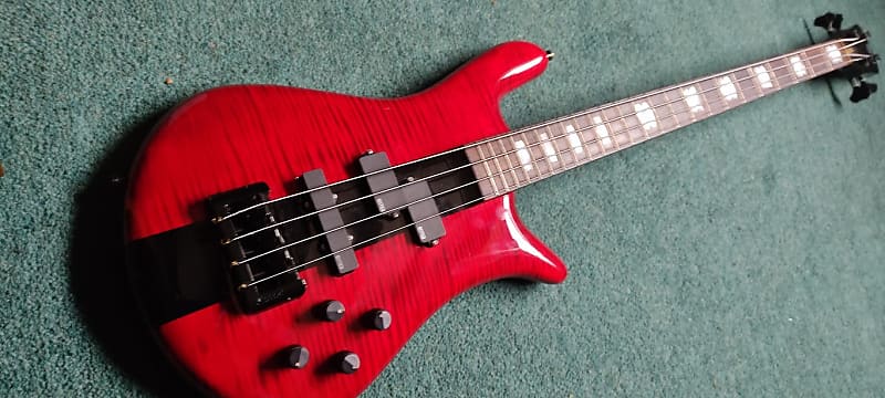 Spector 4 String 40th Anniversary Euro Bass Guitar Limited | Reverb UK