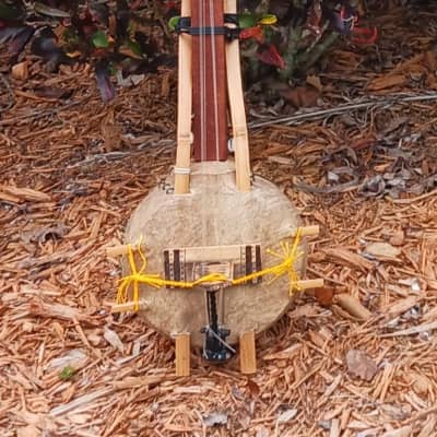 NGONI (KORA) STRING INSTRUMENT FROM WEST AFRICA | Reverb