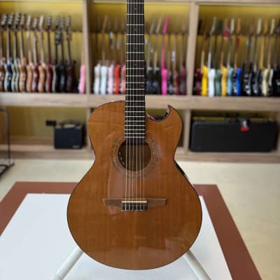 Wechter Florentine 2008 - gloss | Reverb