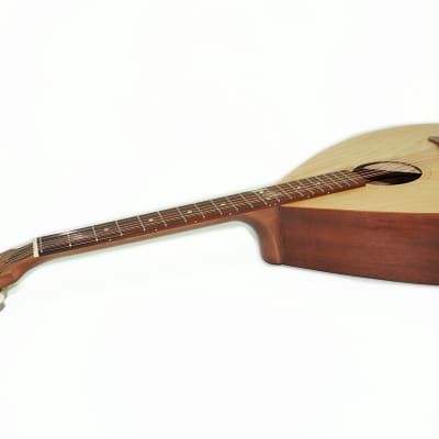 Acoustic 12 String Lute Folk Guitar Kobza Vihuela made in | Reverb