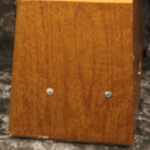 Vintage 1950 Multivox Premier Model 50 Tube Guitar Amplifier | Reverb