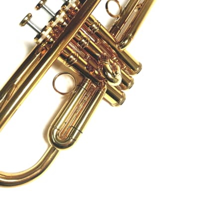 daCarbo Única Bb 2024 - Lacquer | Reverb