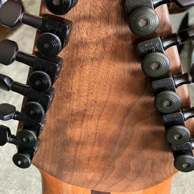 Warr Guitar Phalanx 12 String Tapping Instrument | Reverb