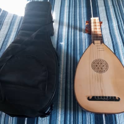7 Course Renaissance Style Lute 11 Strings Project #13545 | Reverb