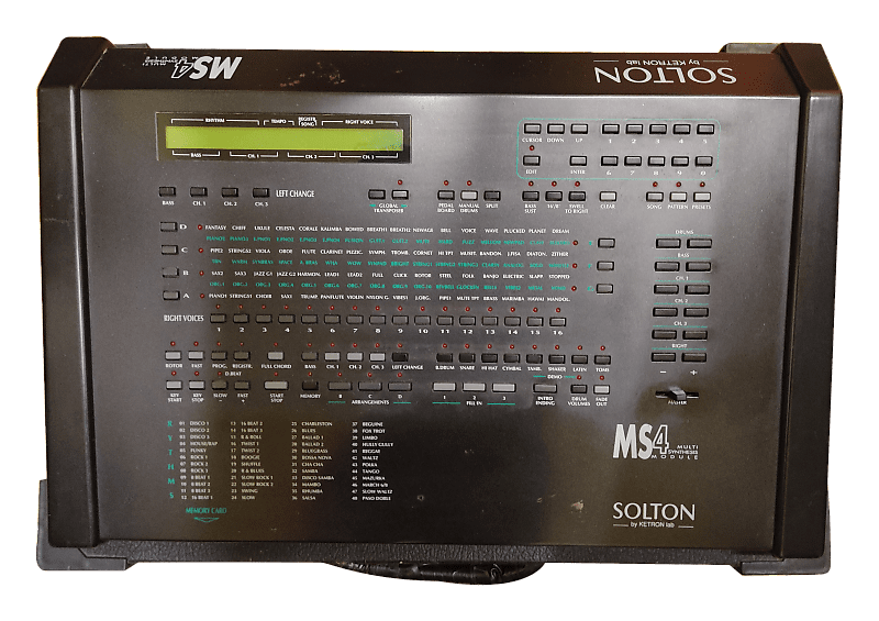 Solton MS4 | Reverb