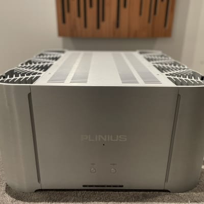 Plinius Reference A-300 Power Amplifier | Reverb Canada