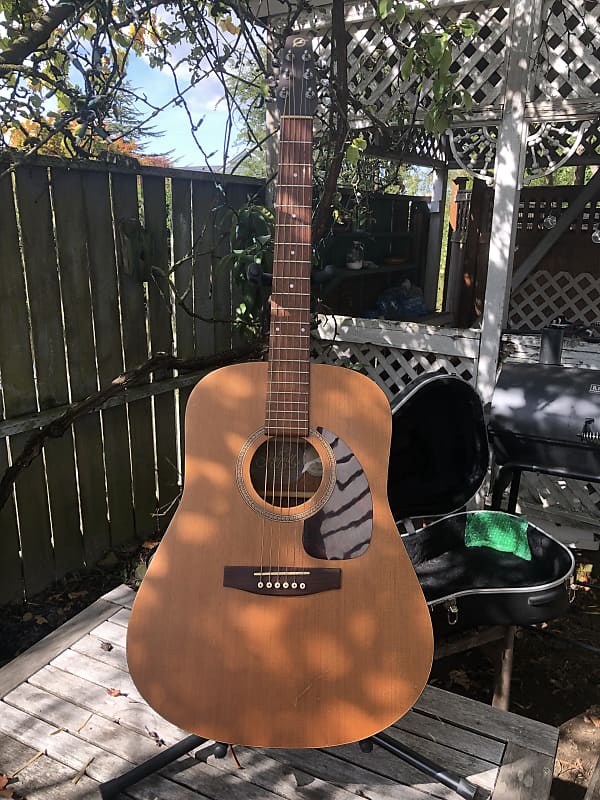 Seagull M6 Cedar | Reverb