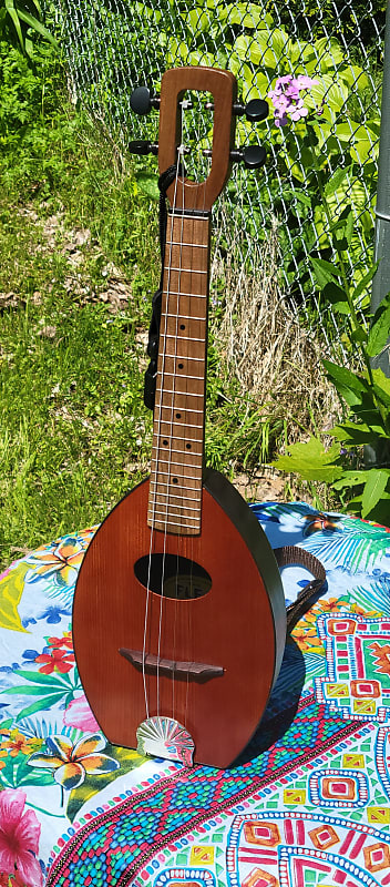 Magic Fluke Mandolin 2022 Chestnut | Reverb