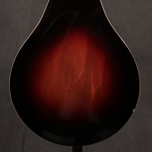 Vintage Lindell Mandolin(Electric) | Reverb