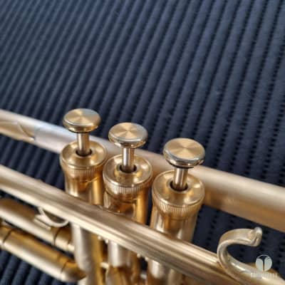 D. Calicchio L 1s ML goldplated trumpet, original case ! | Reverb