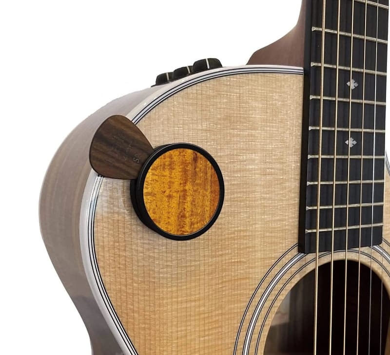 Thalia X Fender Pick Puck, Guitar Pick Holder, Sunburst/Black | Reverb