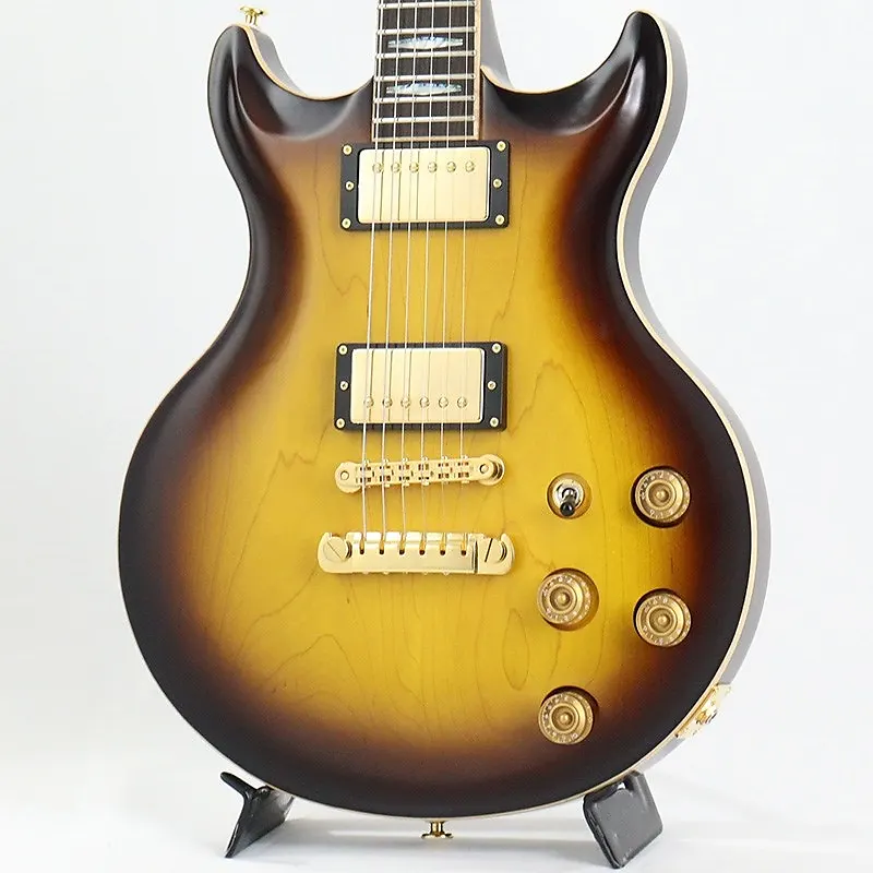 FUJIGEN [USED] Expert RISE ERS-HM-R (Heritage Darkburst) | Reverb