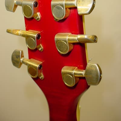 Jay Turser JT-200 Dragon Inlay Electric Guitar | Reverb Deutschland