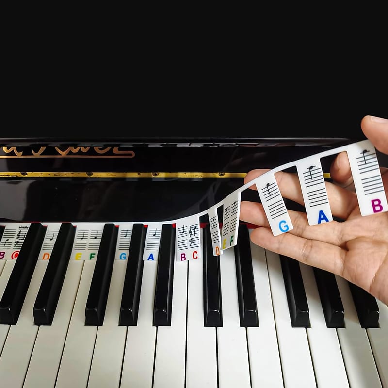 Removable Piano Keyboard Note Labels, Piano Notes Guide for | Reverb
