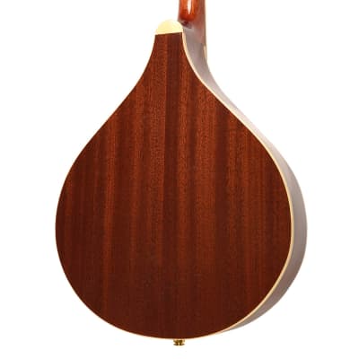 GOLD TONE OM-800+ LEFTY 8-string electric Octave MANDOLIN new | Reverb