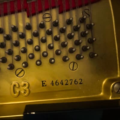 Yamaha C3 Conservatory Grand Piano | Reverb