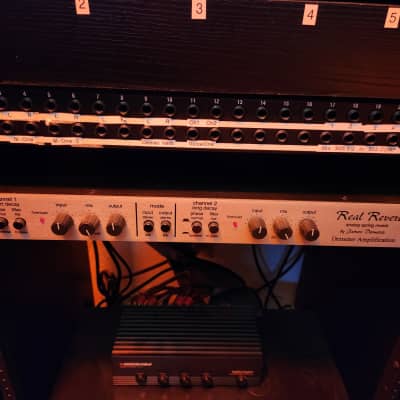 Roland RV-100 Spring Reverb #2 | Reverb