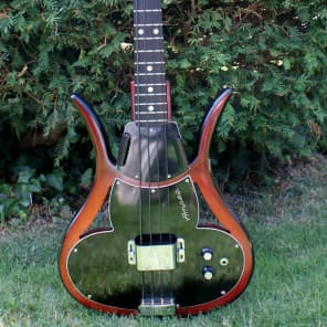 Ultra Rare All Original 1966 Ampeg ASB-1 Devil Bass | Reverb UK