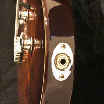 TAYLOR SB1 Custom Walnut Burl Gloss Solid Body Electric | Reverb