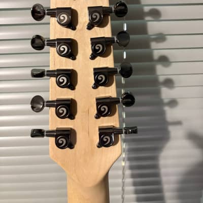 Custom Strat style 12 string - Transparent Black Nitro - | Reverb