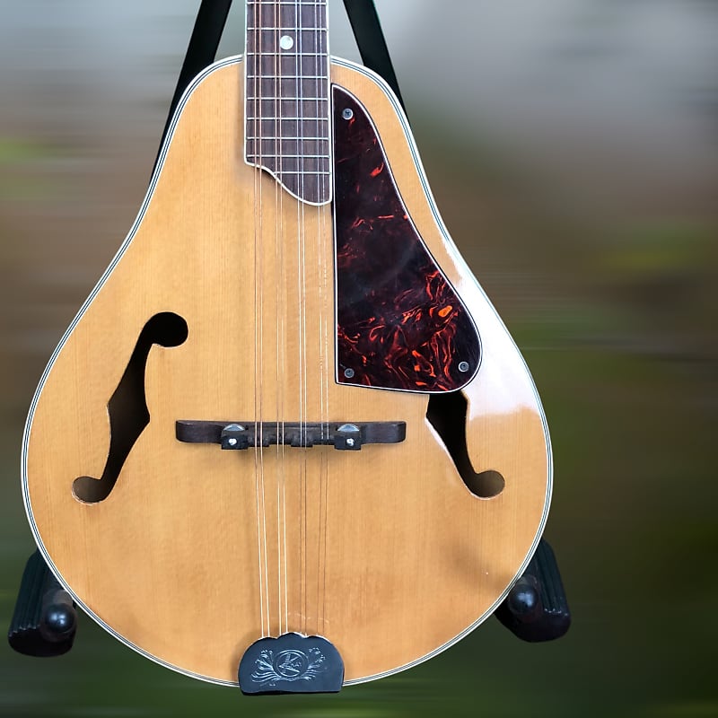 Kay Mandolin 1980s - Natural | Reverb