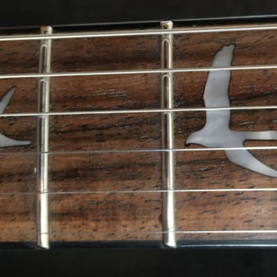 PRS SE Custom 24 exclusive finish Burled Ash | Reverb