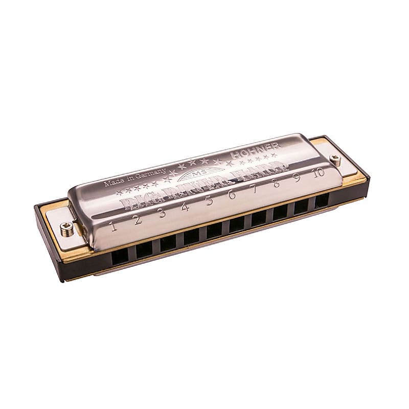 Hohner Big River Harmonica G | Reverb